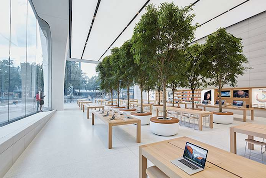 Apple Opens First Store in Belgium and It’s Gorgeous