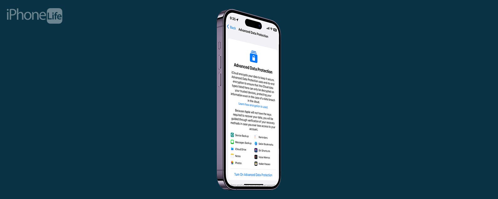 Protect Your iCloud Data