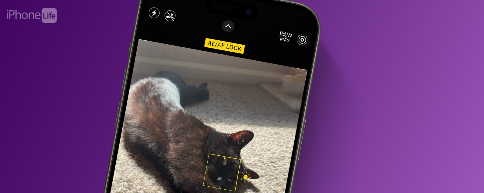 What Is AE/AF Lock & How to Use It