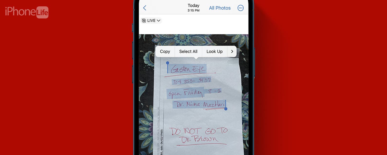 How to Copy Text from a Picture on iPhone Quickly