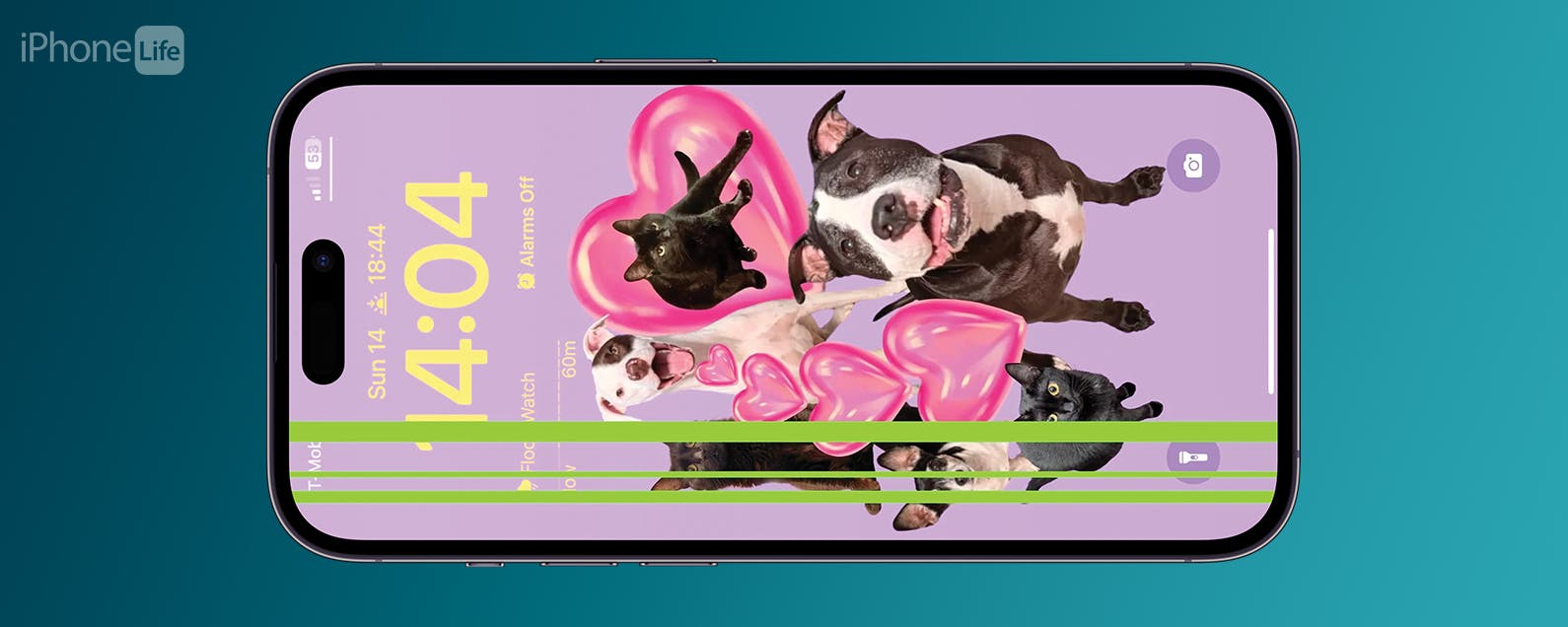 Lines on iPhone Screen after Dropping Phone? Try This First