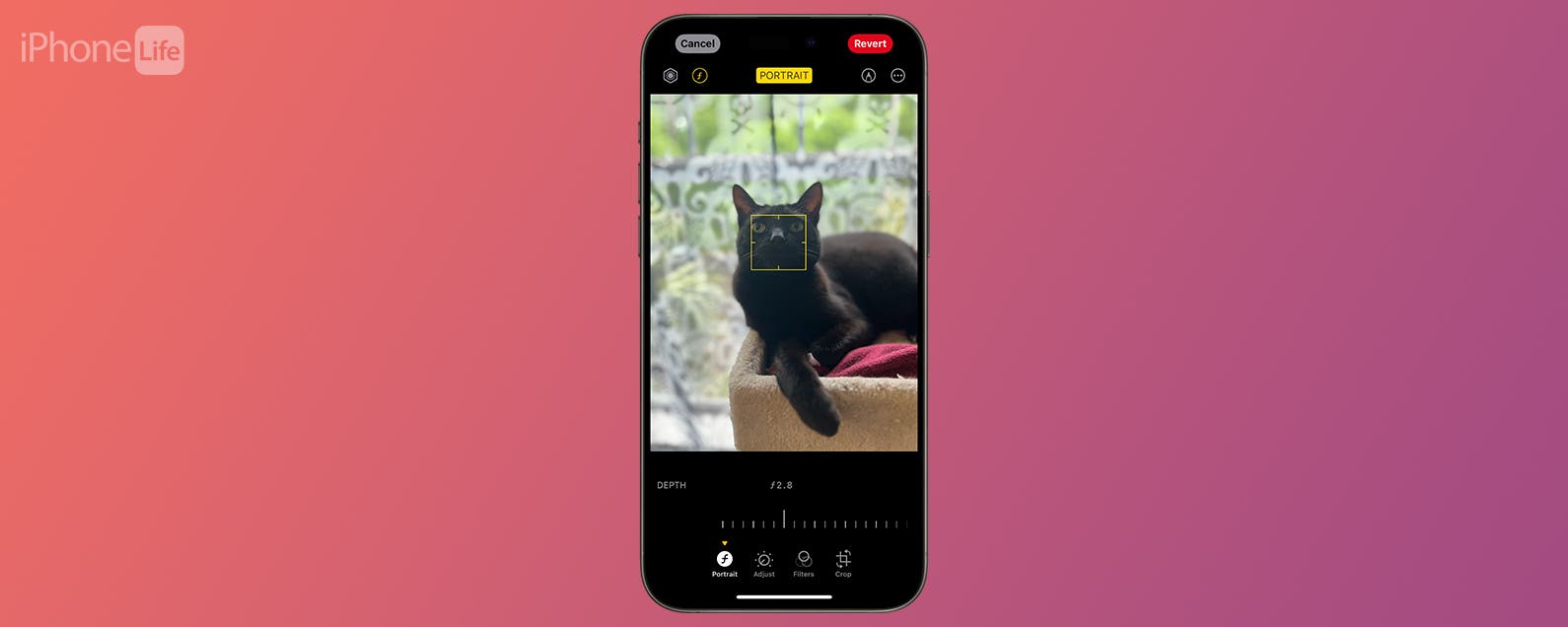 Change the Focus Point of Portrait Photos