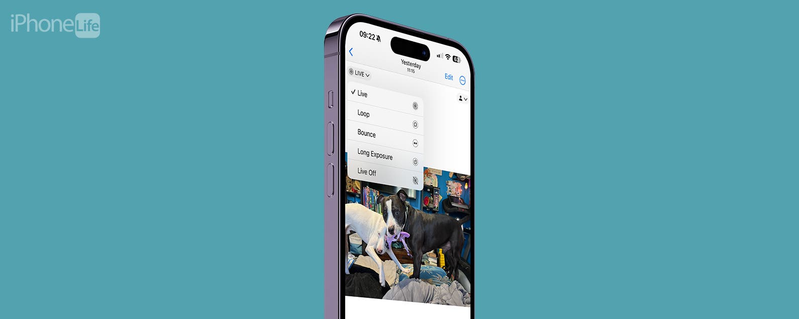 How to Make a GIF or Video from a Live Photo on iPhone