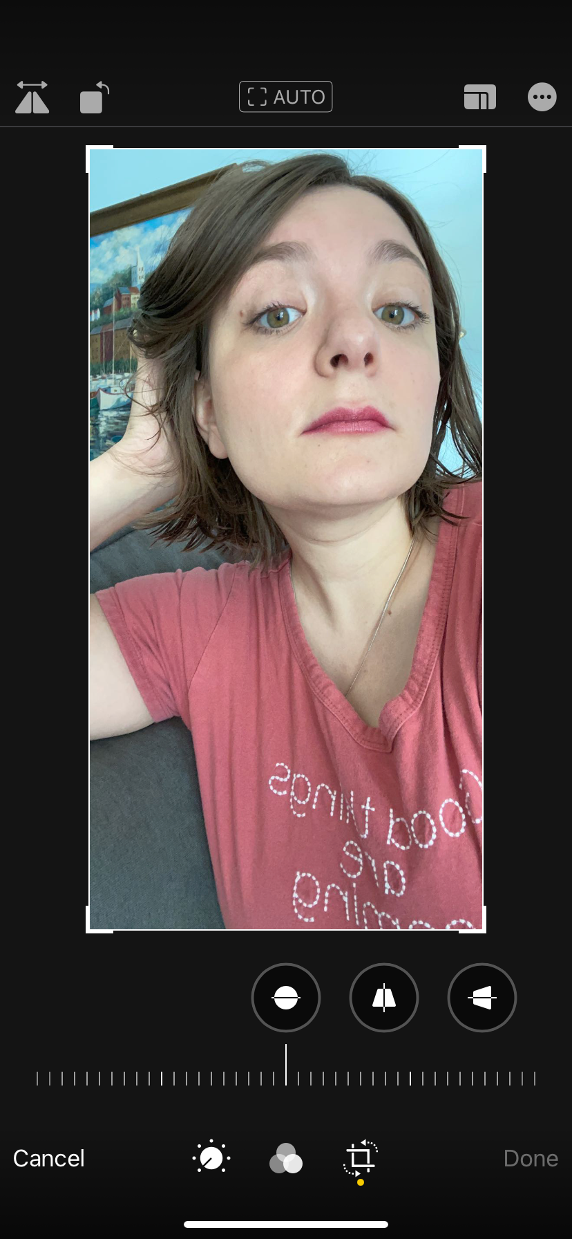 Mirror Image Photos? How to Flip a Picture on an iPhone