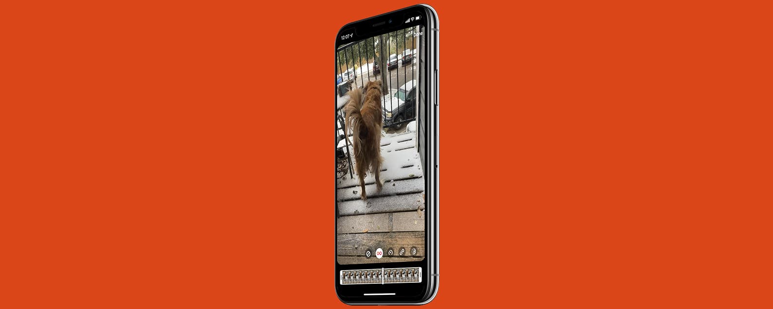 How To Post A Live Photo On Instagram From IPhone 2023 how-to-post-a-live-photo-on-instagram-from-iphone-2023