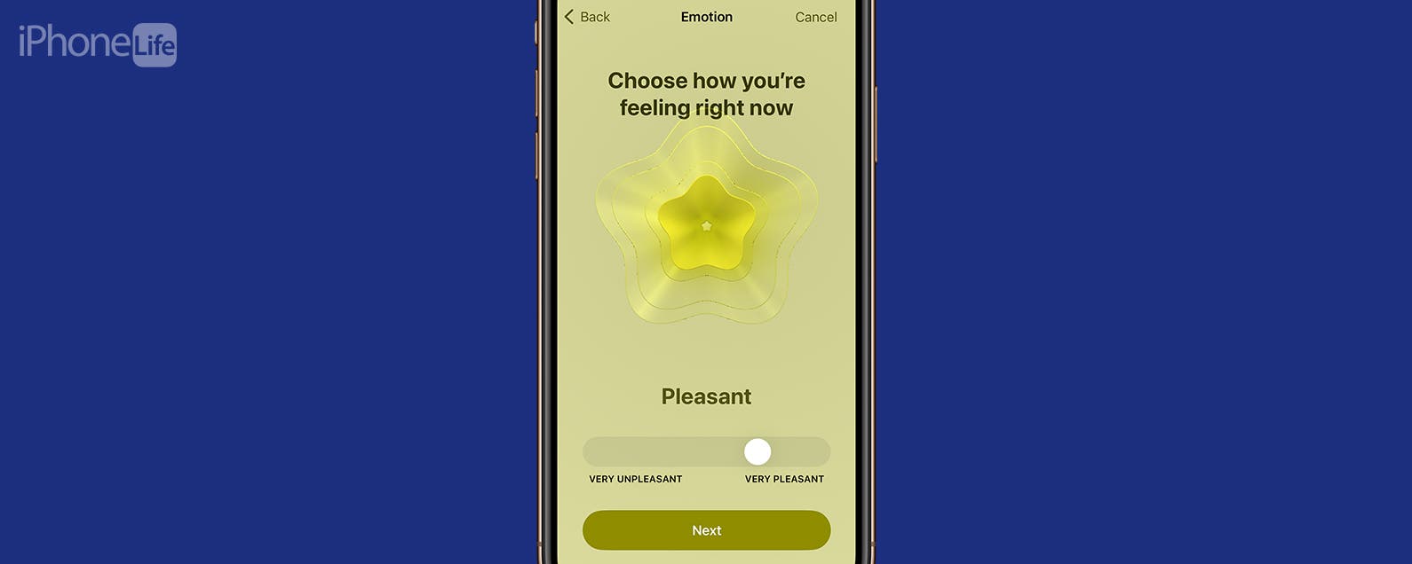 Log Your Mood & Track Your Emotions in the iPhone Health App