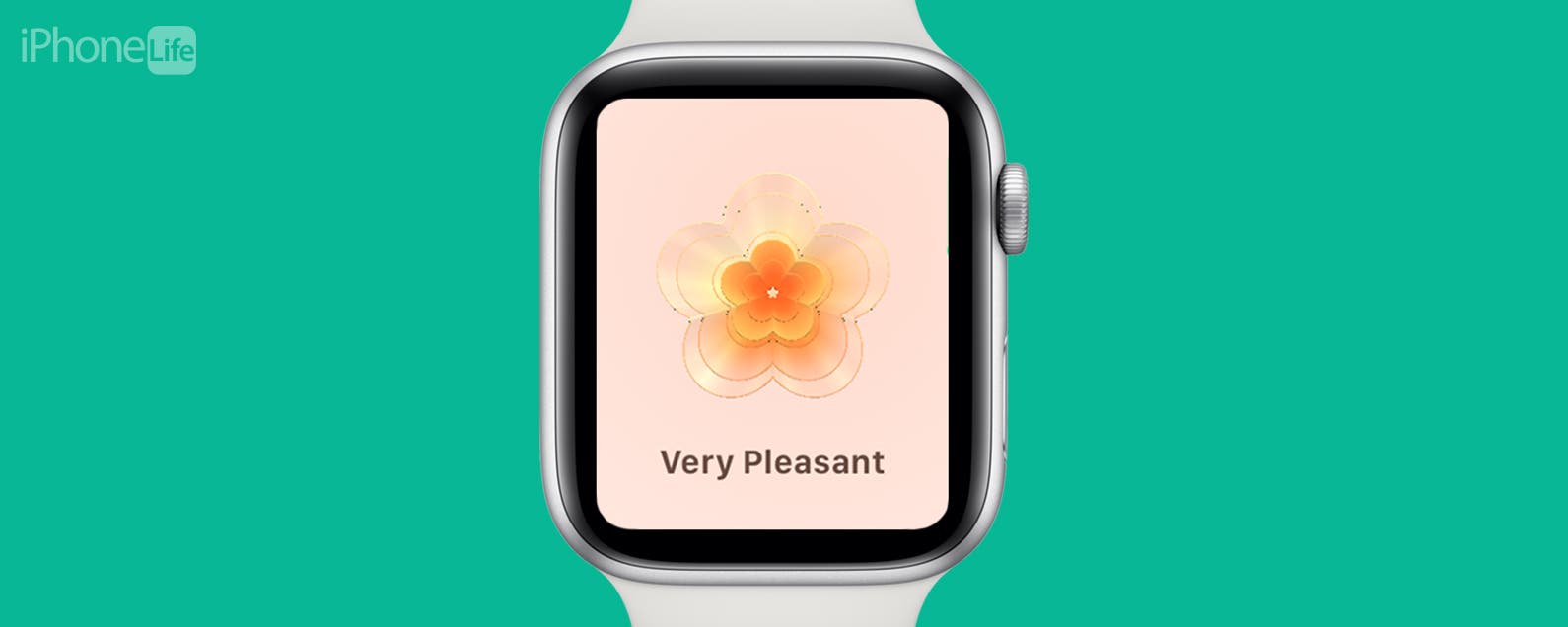 How to Log Your State of Mind on Apple Watch