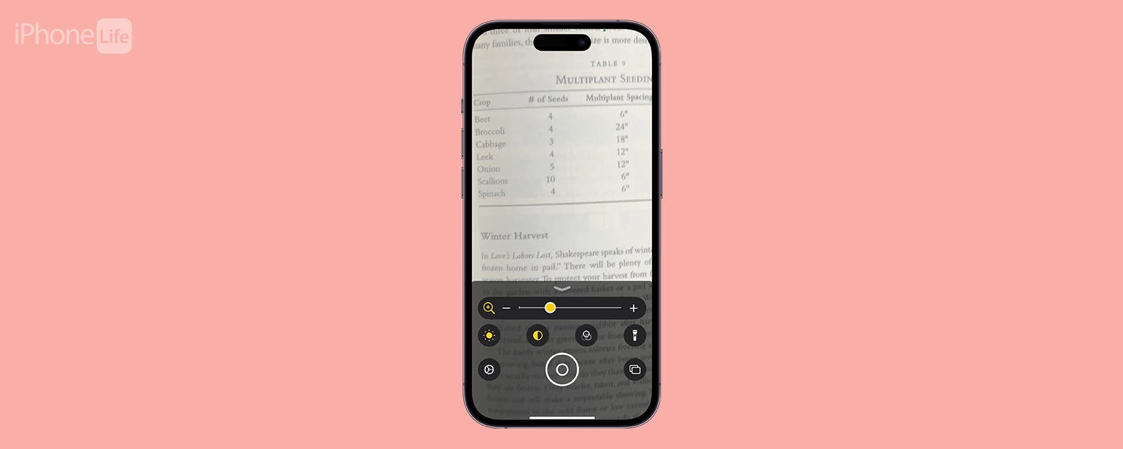How to Use the Magnifier on Your iPhone & iPad