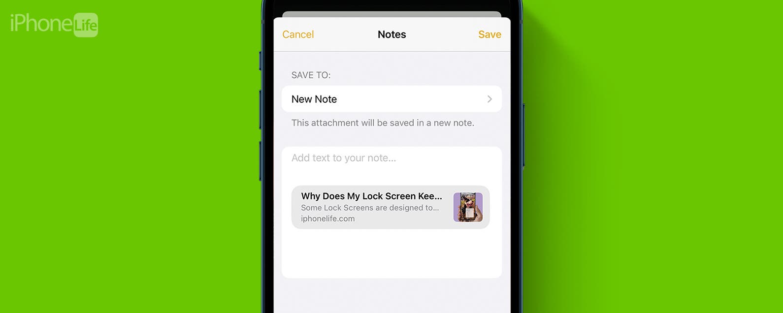 How to Share a Website to Notes