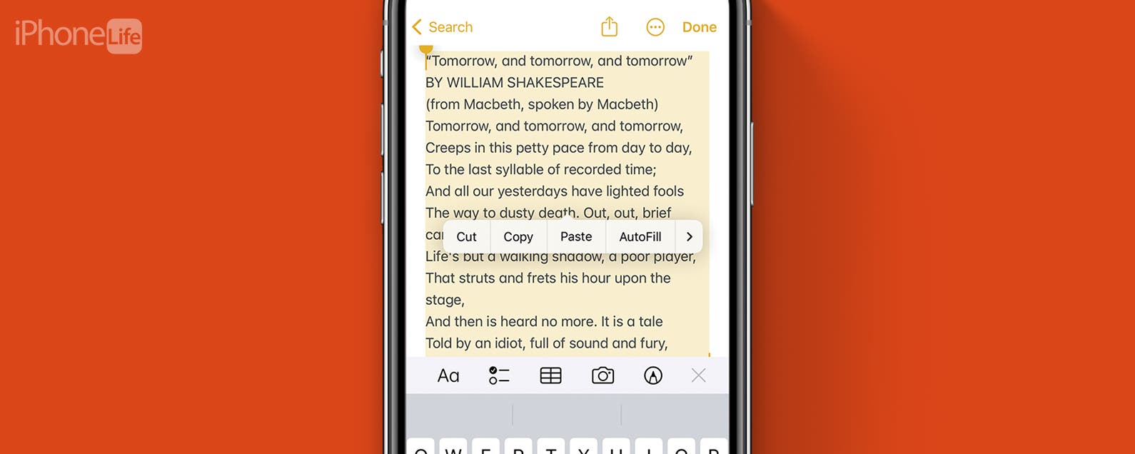 Apple Universal Clipboard: Copy and Paste Between Devices