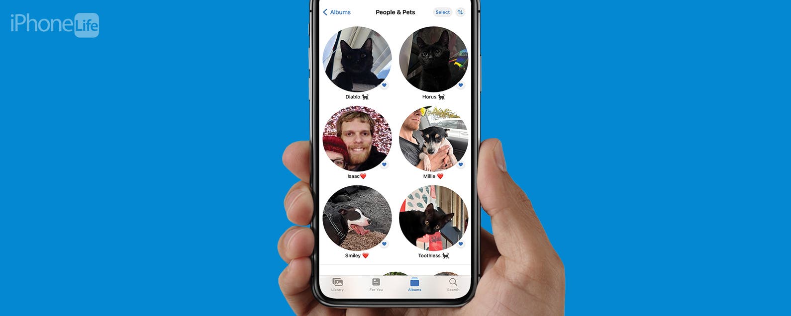 How to Tag Cats & Dogs in the iPhone Photos App