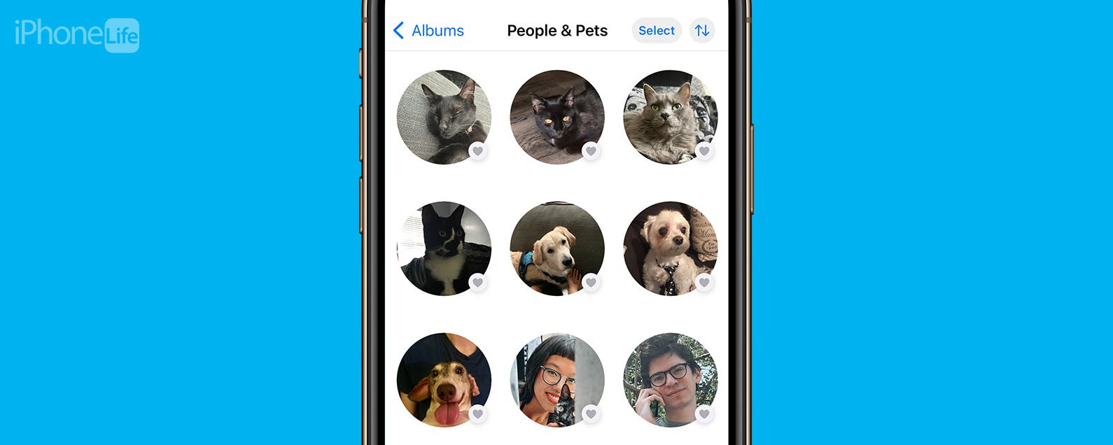 Fixed: People Album Won’t Recognize Pictures of Pets