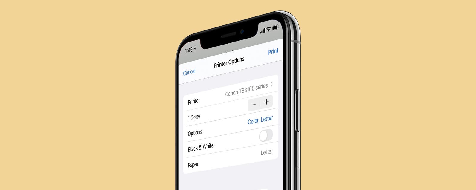How To Change Printer Settings On IPhone In AirPrint 2023 