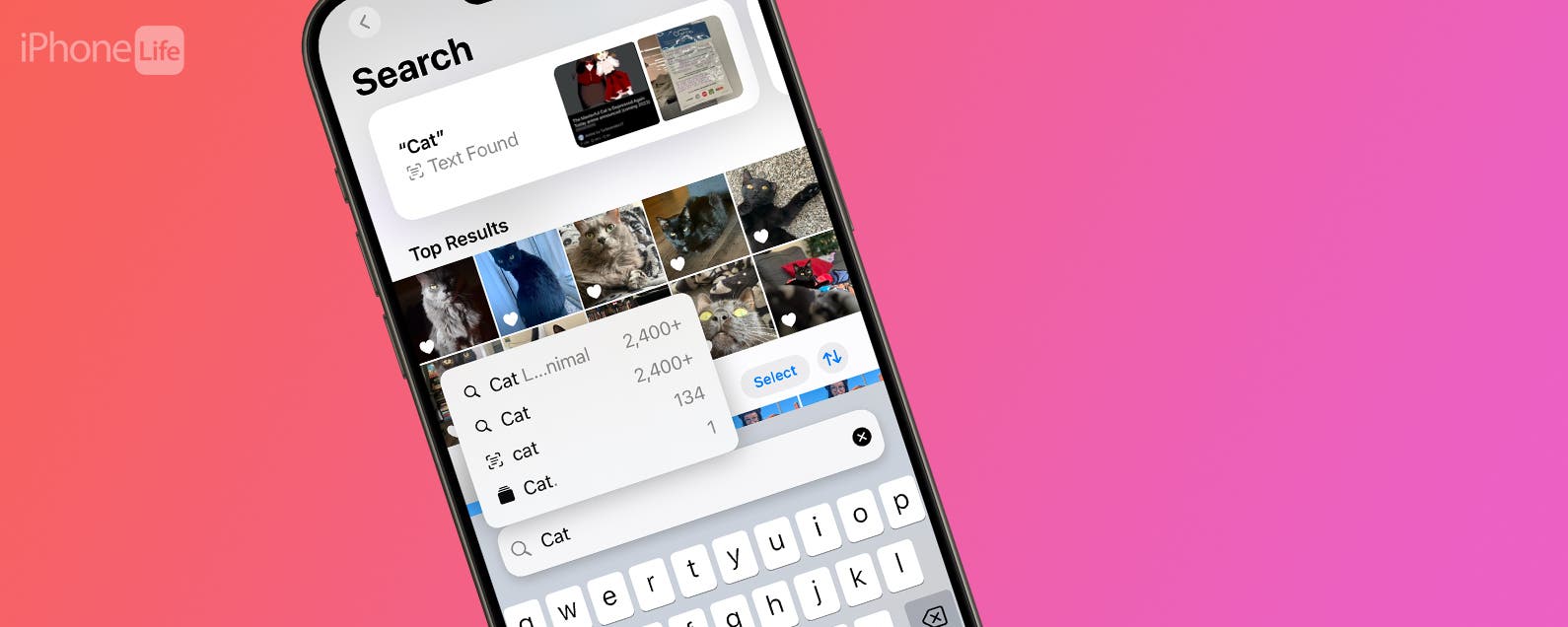 How to Search the New Photos App