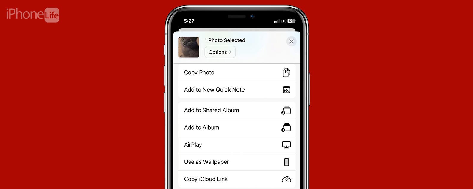 How to Add Quick Note Using Your iPhone's Share Sheet