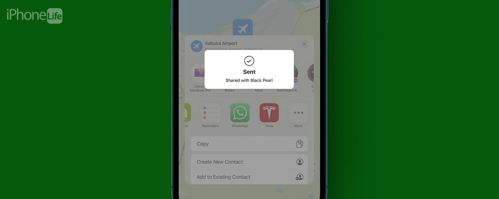 Tesla Trip Planner Tips: How to Access Tesla Maps on iPhone