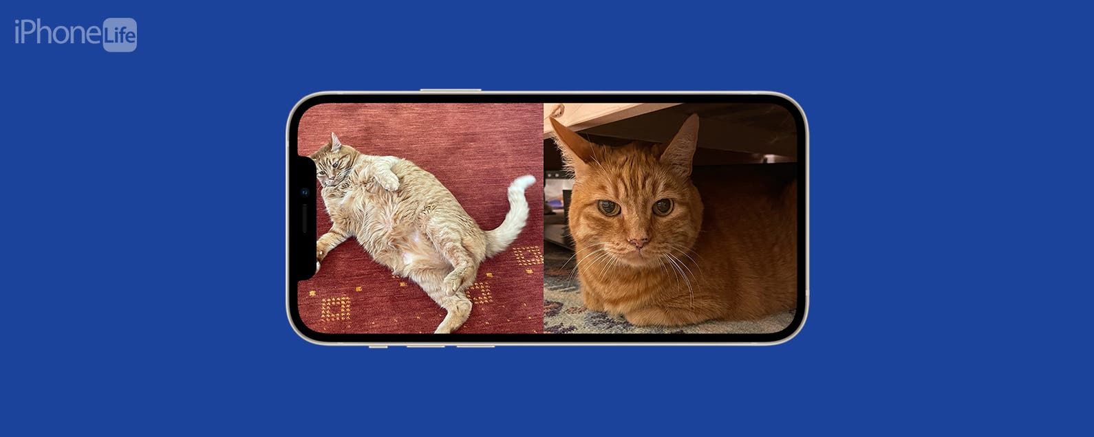 How to Put Two Pictures Side-by-Side on iPhone (iOS 17