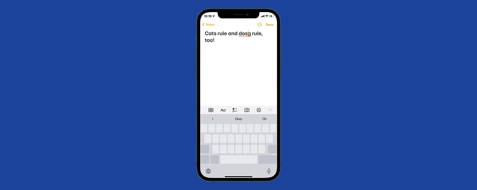 How to Use the Spacebar to Select & Edit Text on iPhone