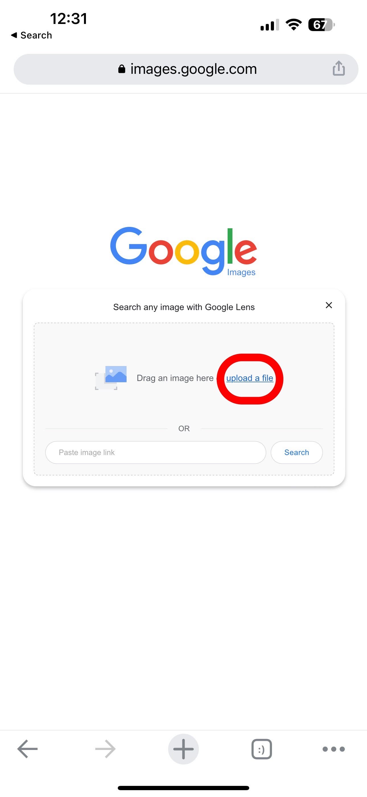 Search By Image On Iphone