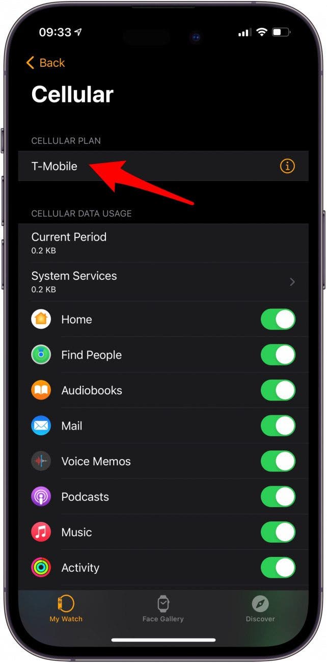 How to Make Calls on Your Apple Watch