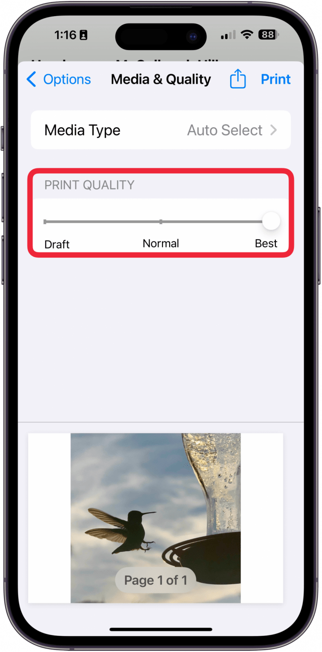How to Change Picture Print Size on Your iPhone