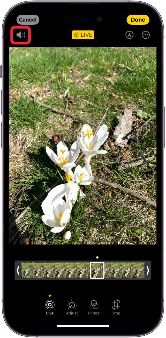 How to Hear Live Photos