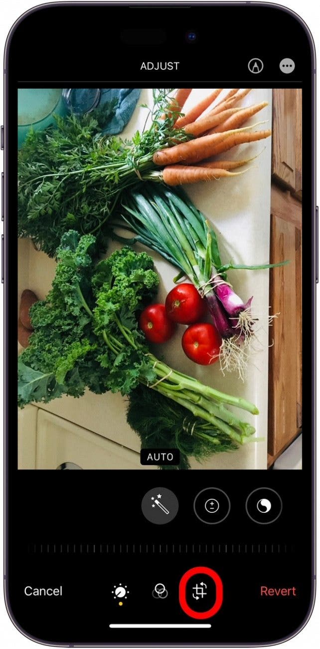 How to Rotate Photos on iPhone