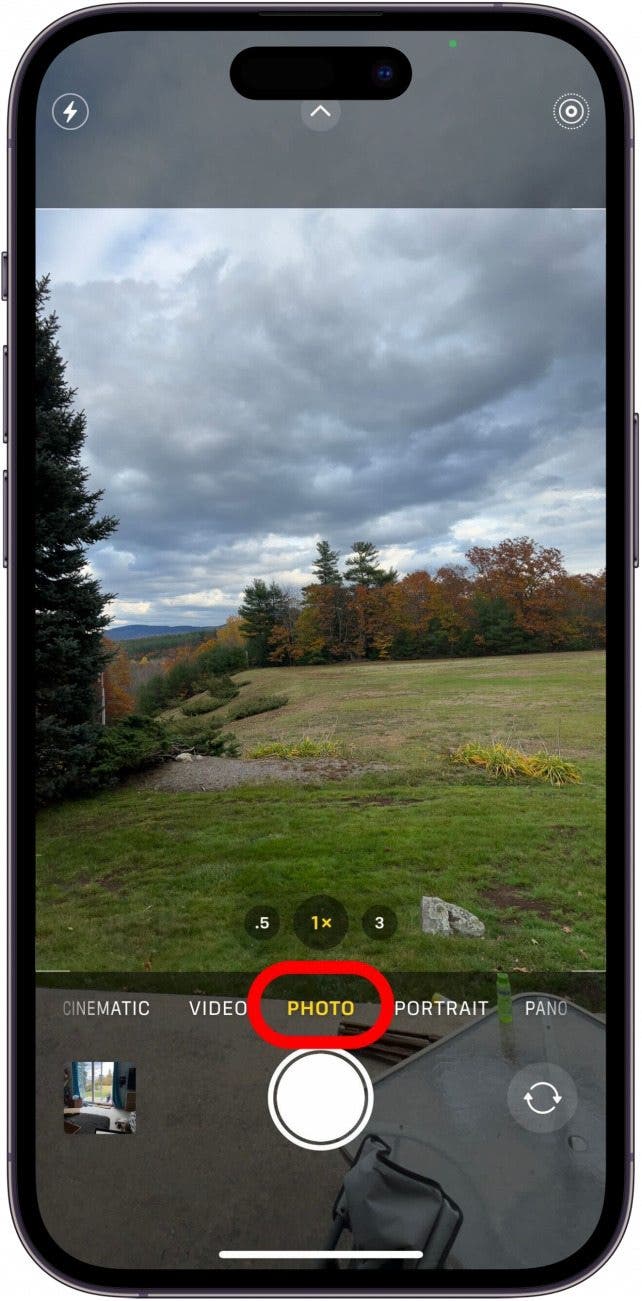 Photographic Styles: How to Use iPhone Camera Filters