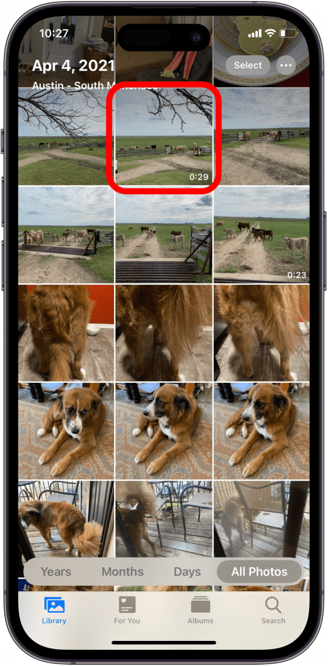 How to Remove Sound from an iPhone Video