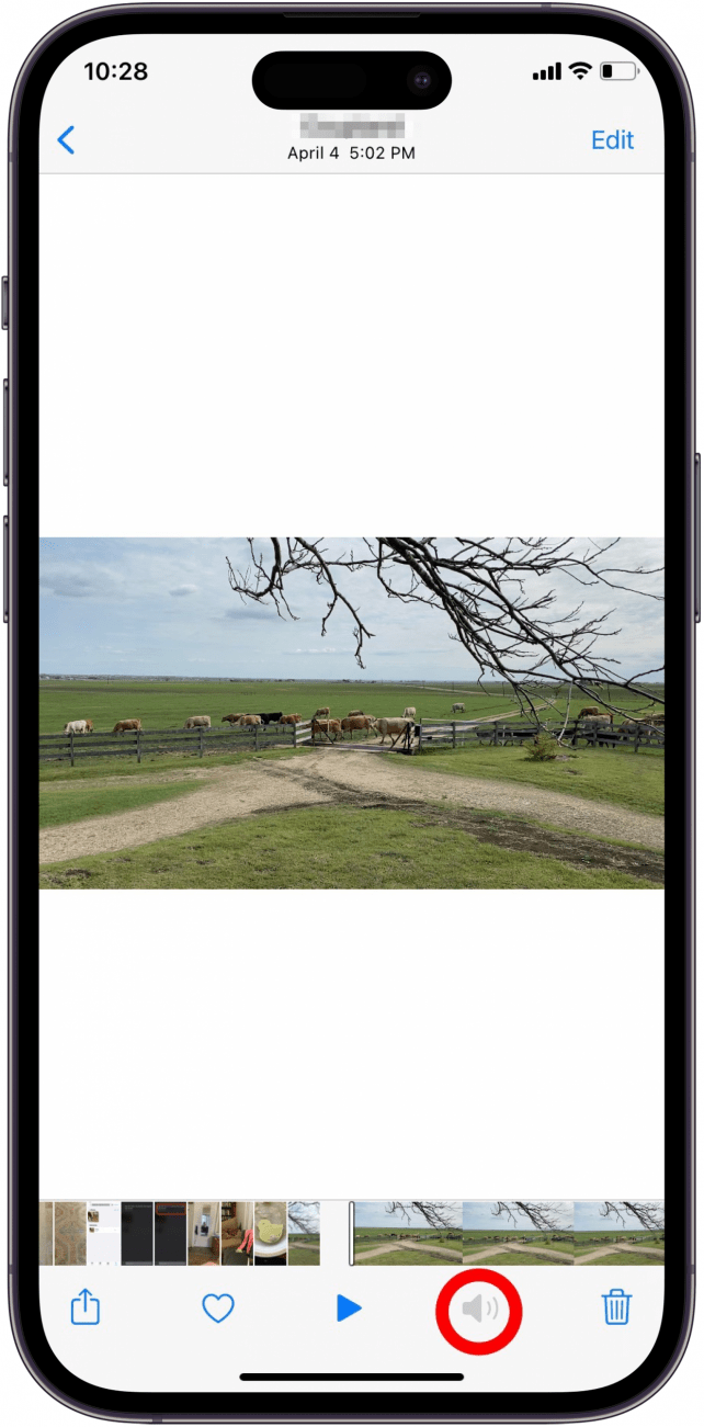 How to Remove Sound from an iPhone Video