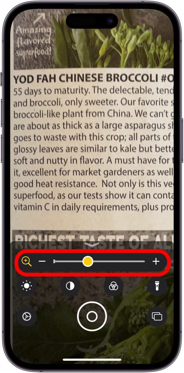How to Use the Magnifier on Your iPhone & iPad