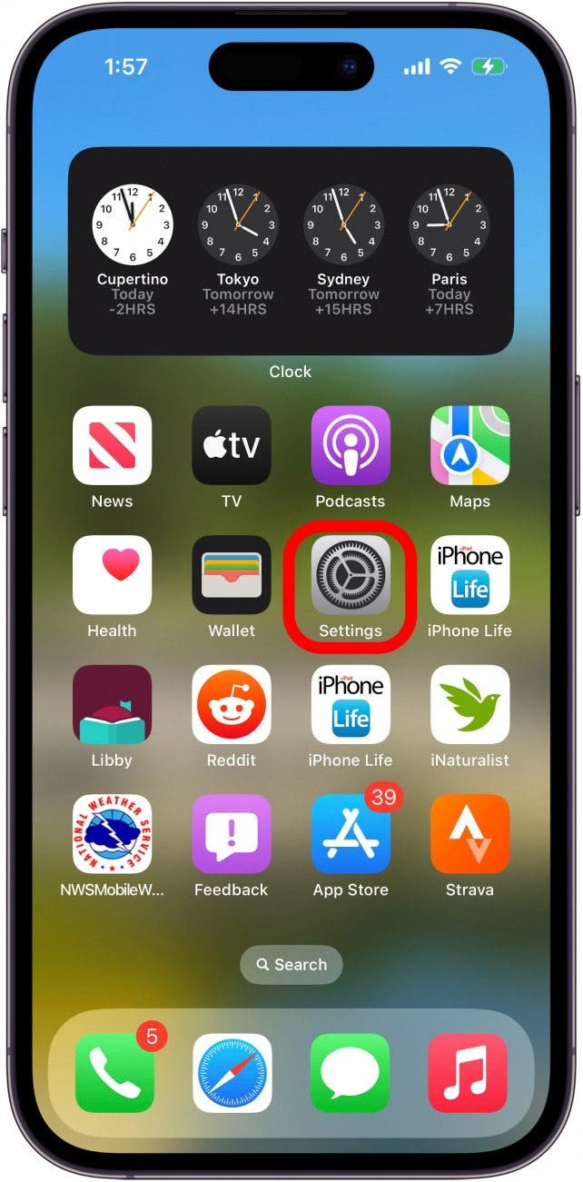 How to Download & Install the New iOS Update (iOS 18)