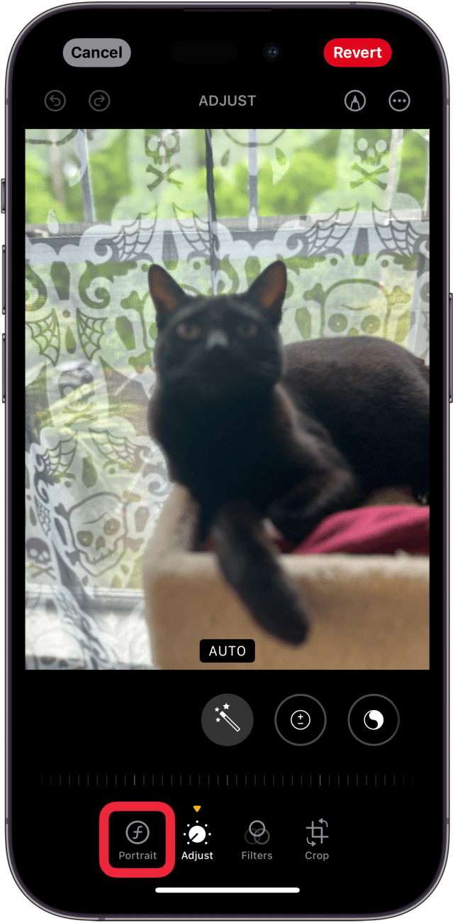 Change the Focus Point of Portrait Photos