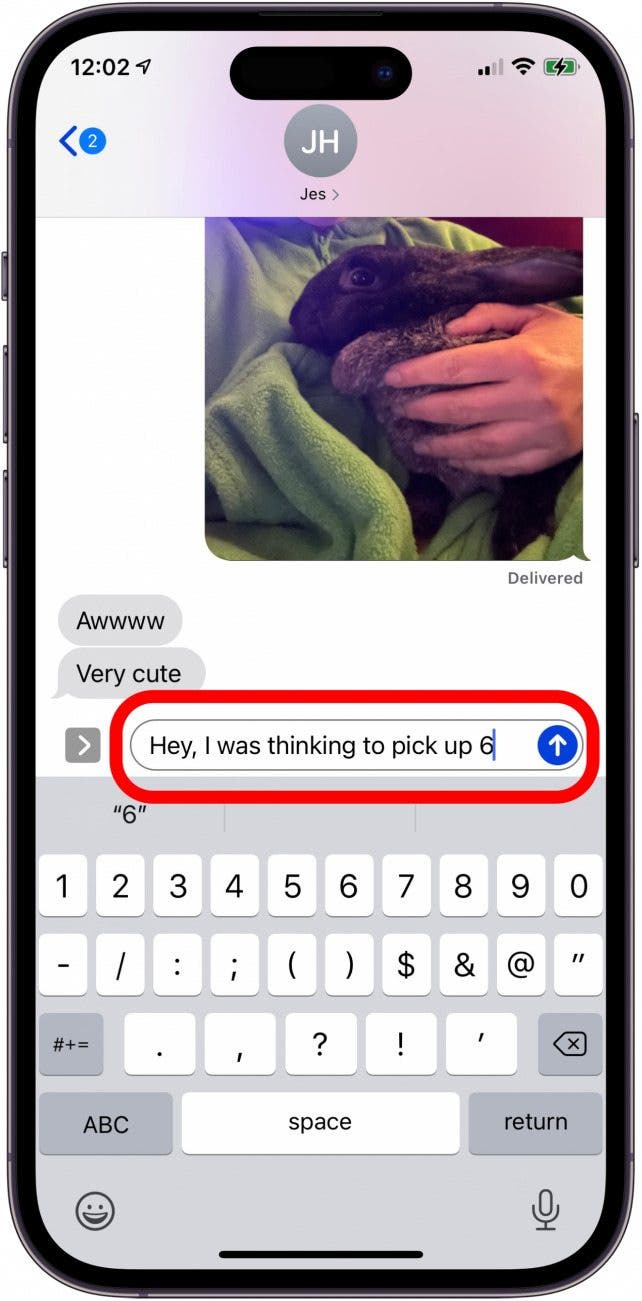 How to Type Numbers on an iPhone from the ABC Keyboard