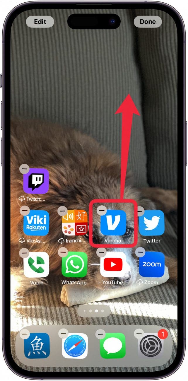 Place iPhone Apps Anywhere on the Home Screen (iOS 18)