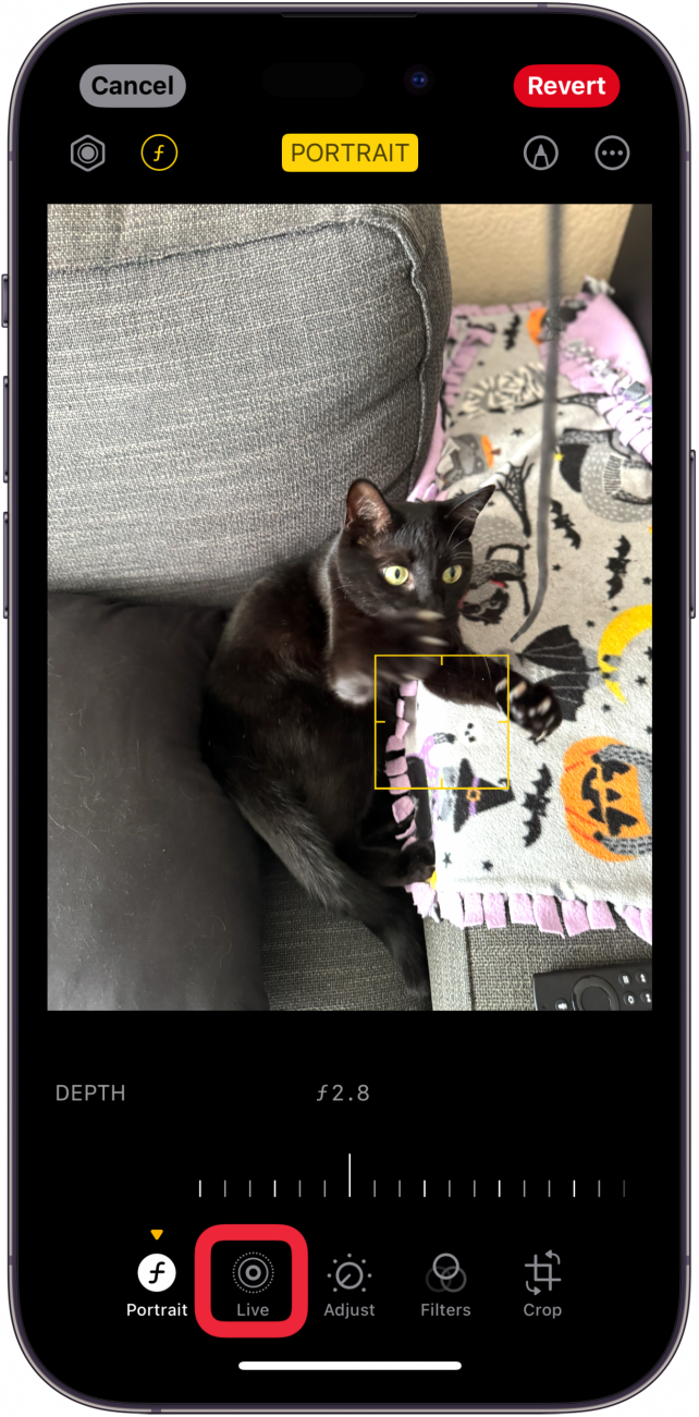 How to Select a Frame from a Live Photo