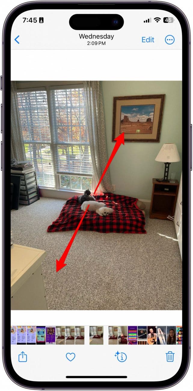 How to Quick Crop a Picture On