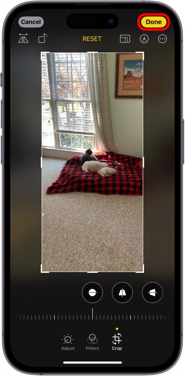 How to Quick Crop a Picture On