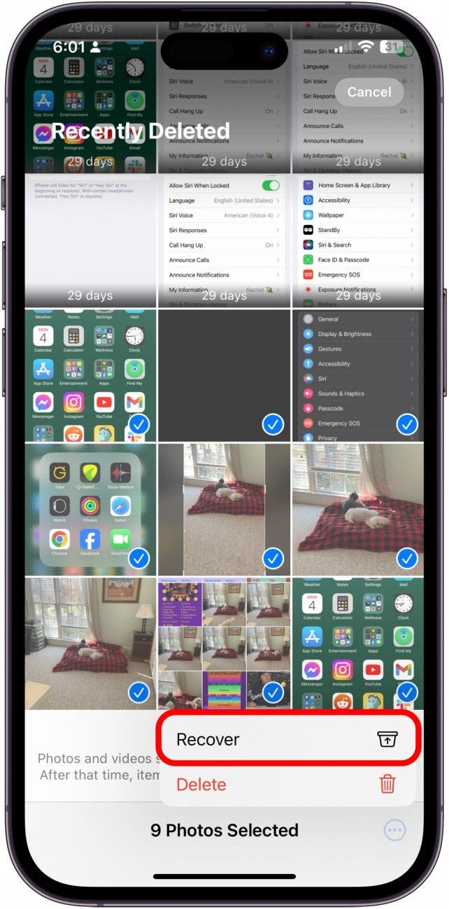 How to Recover Permanently Deleted Photos on iPhone
