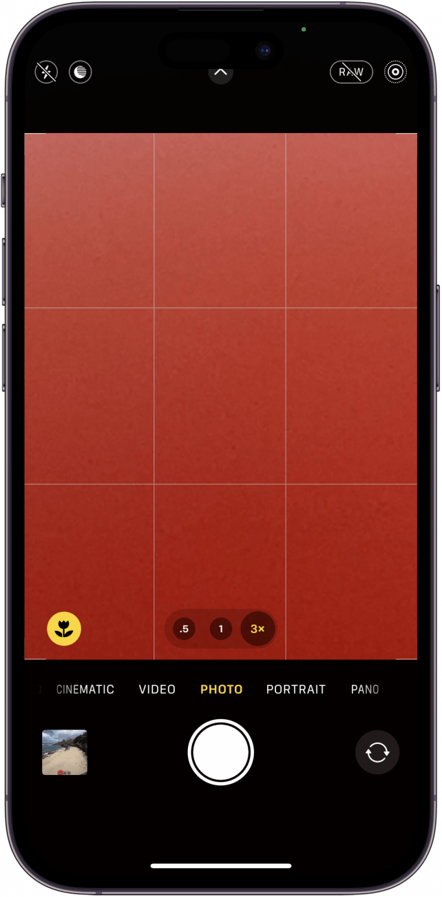 Optical Zoom vs. Digital Zoom: iPhone Explained