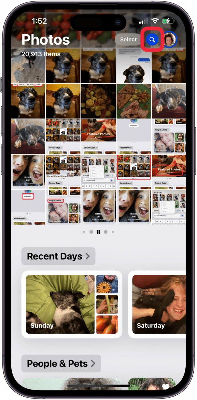 How to Navigate the Photos App on Your iPhone & iPad
