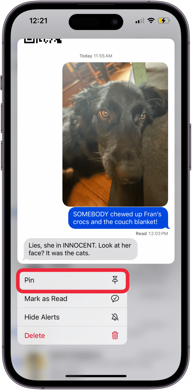 How to Pin a Contact in Messages on Your iPhone & iPad