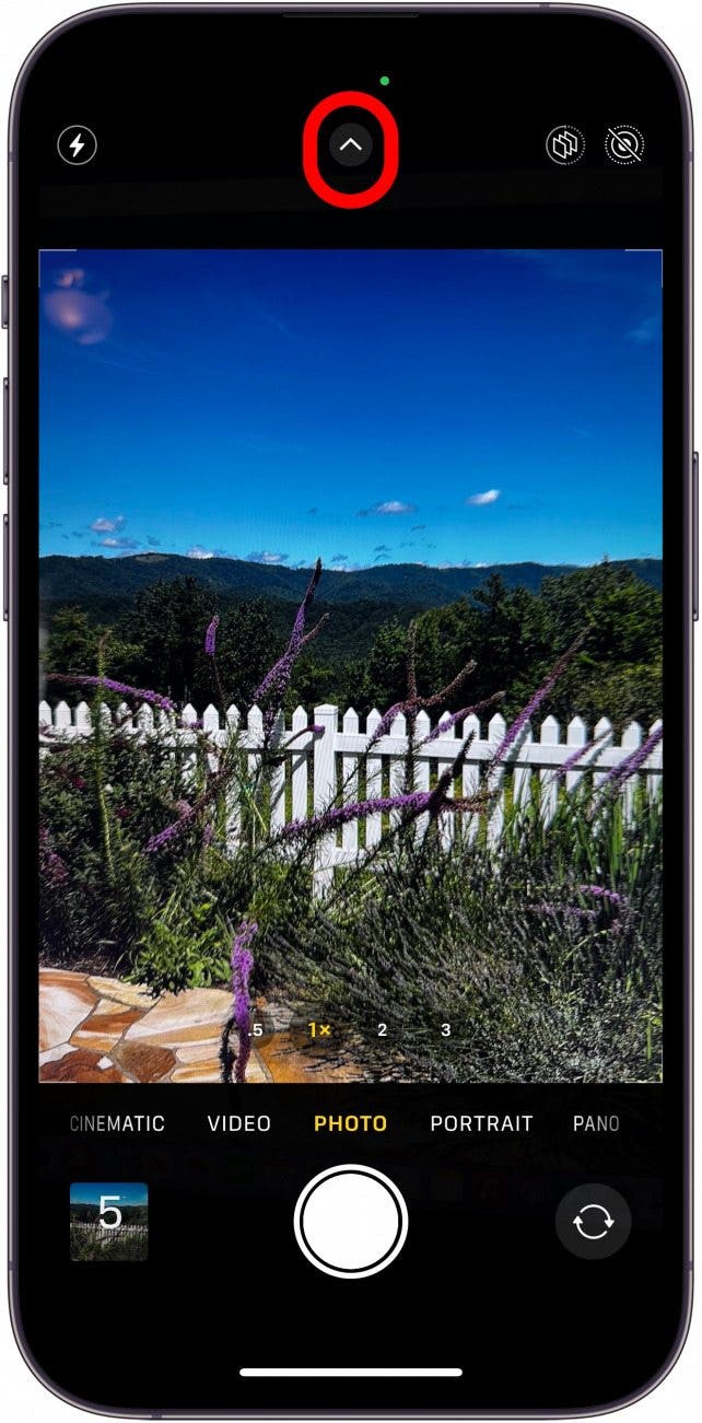 How to Set an iPhone Camera Timer—the Easy Way!