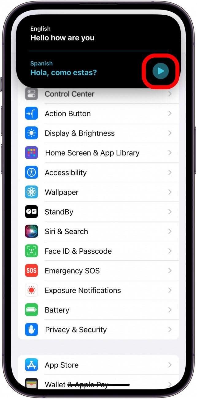 Use iPhone 15 Pro Action Button to Translate