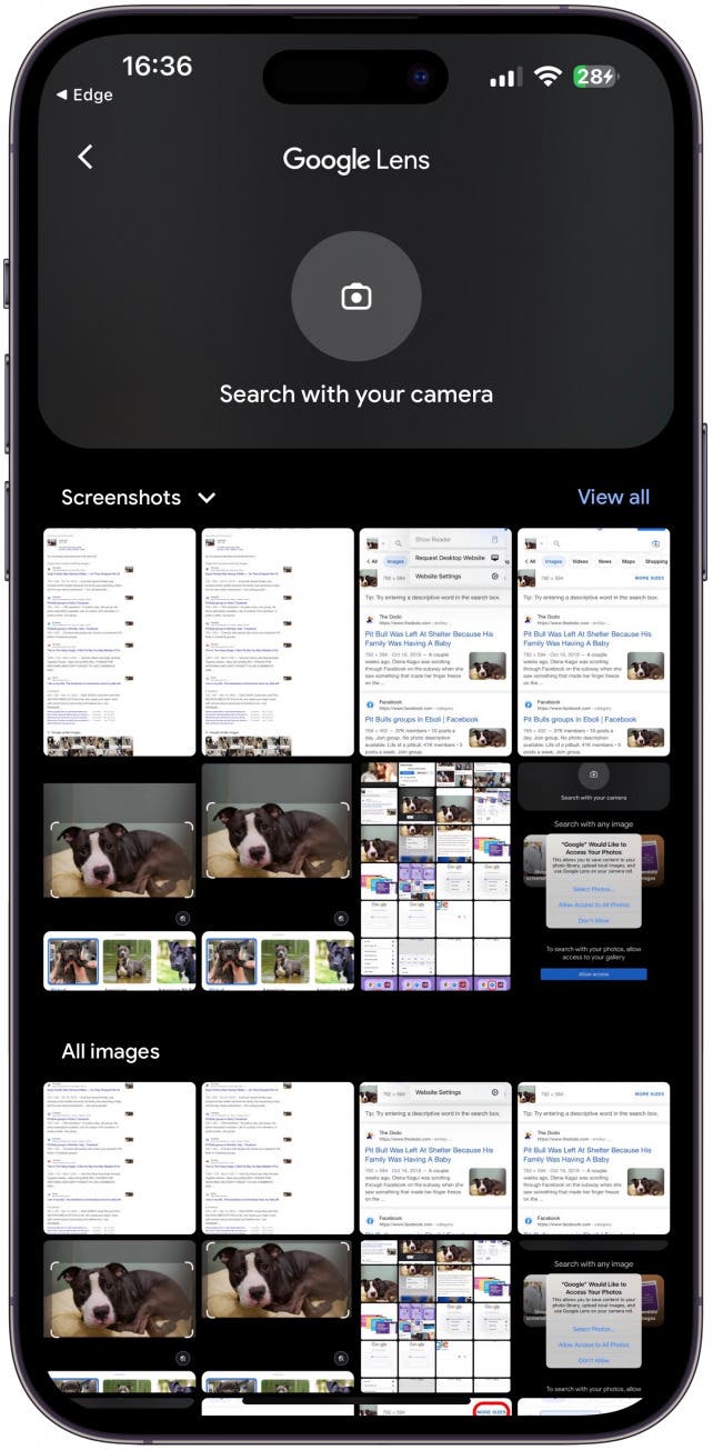 How to Reverse Image Search on iPhone (Mar 2023)