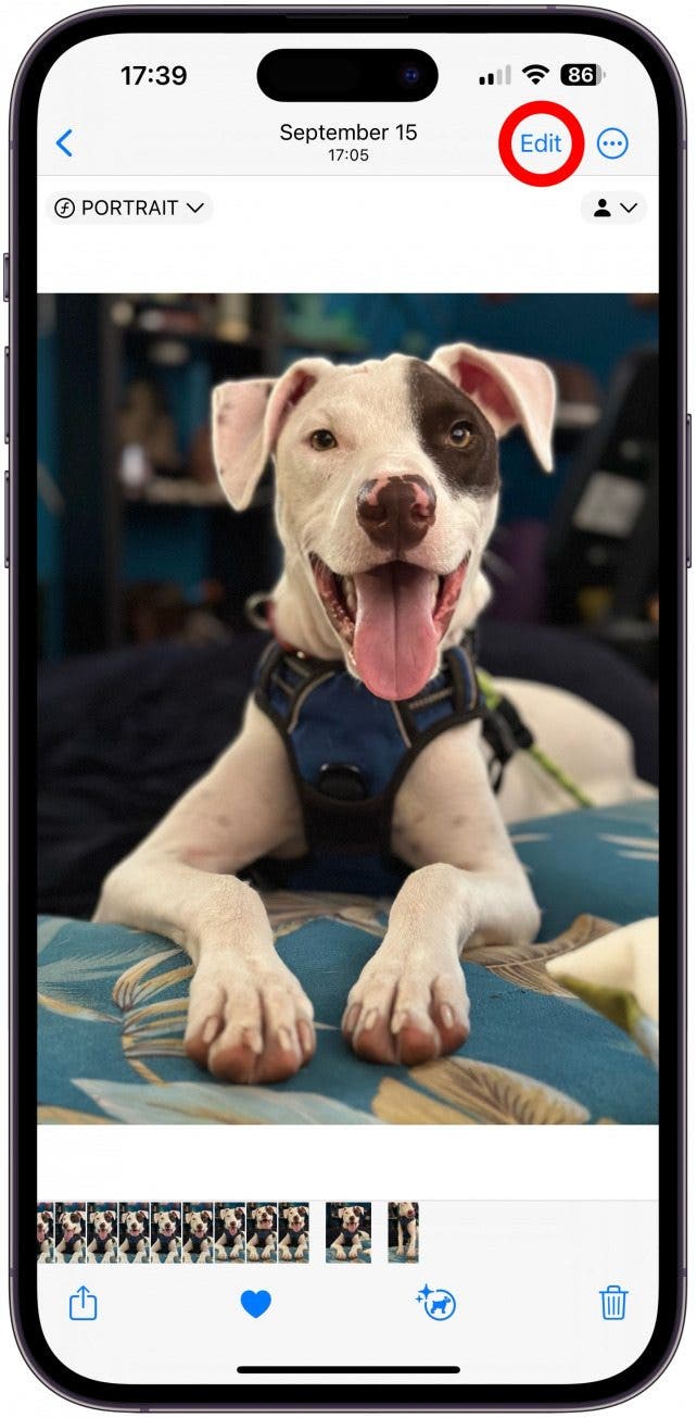 How to Blur Something in a Picture on iPhone