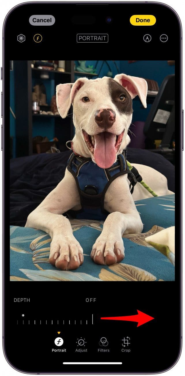 How to Blur Something in a Picture on iPhone