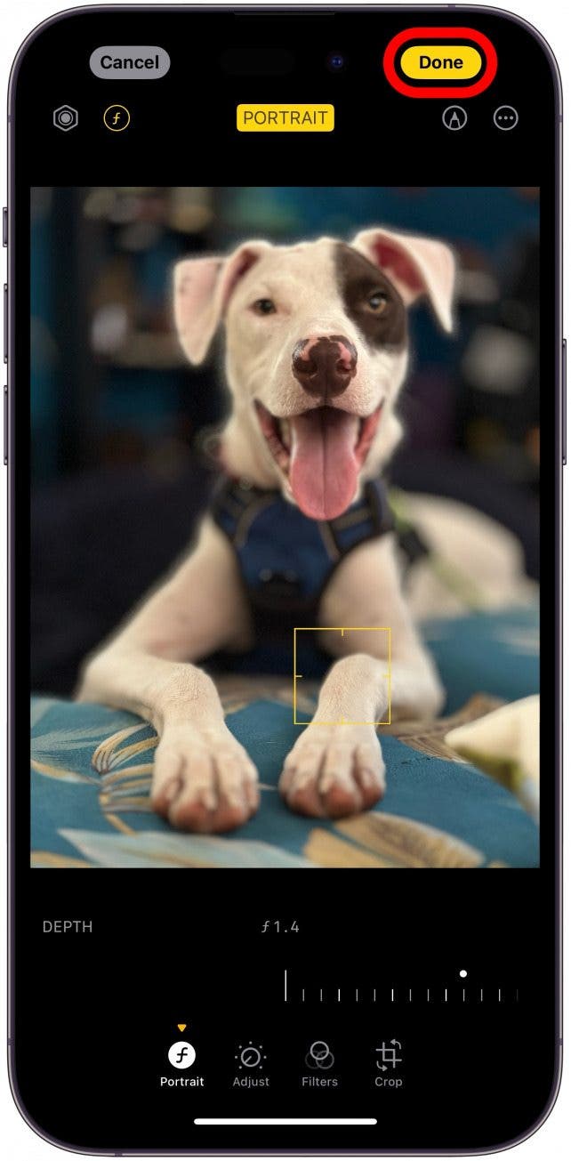 How to Blur Something in a Picture on iPhone