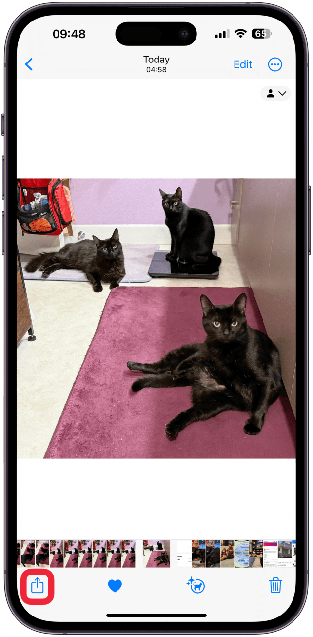 How to Resize an Image on iPhone