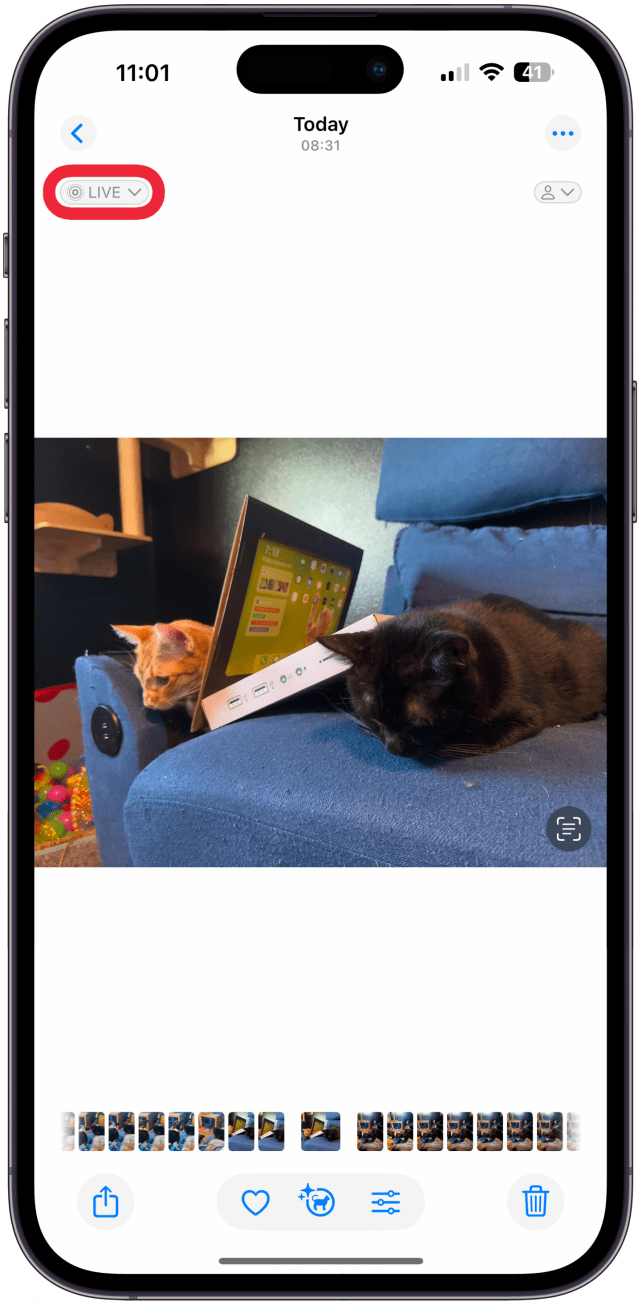 How to Convert Live Photo to Still on iPhone